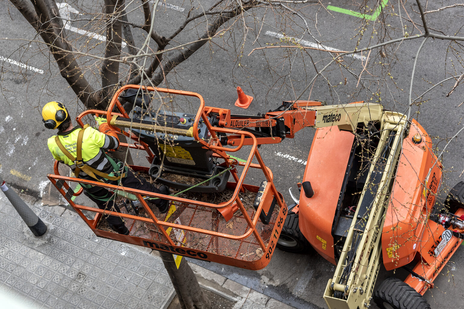tree contractor qualifications | Complete Tree Care