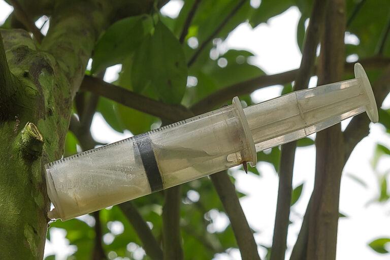 Harnessing Tree Injections for a Flourishing Landscape | Complete Tree Care