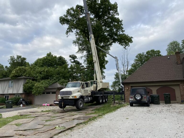 Understanding Insurance Coverage for Property Damage Caused by Fallen ...