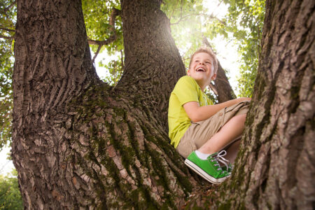 Tree Safety for Kids | Complete Tree Care