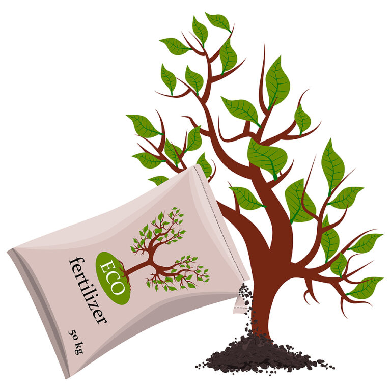 Nurture Your Trees to Thrive with Deep Root Fertilization | Complete ...