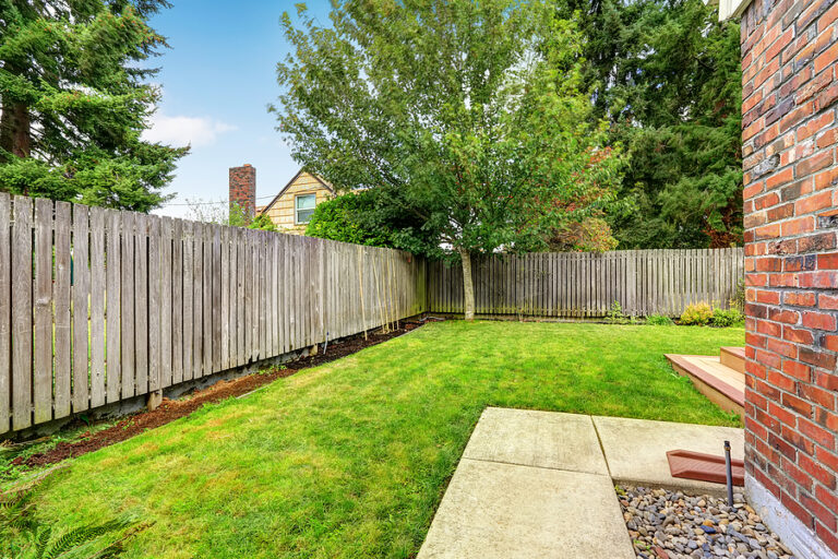 Navigating Neighbor’s Trees: Your Property Rights Guide | Complete Tree ...