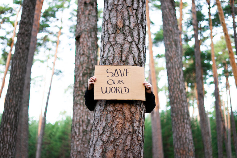 The Devastating Effects of Pollution on Trees And Why It Matters ...