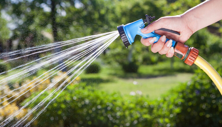 How to Keep Your Trees Hydrated This Summer | Complete Tree Care
