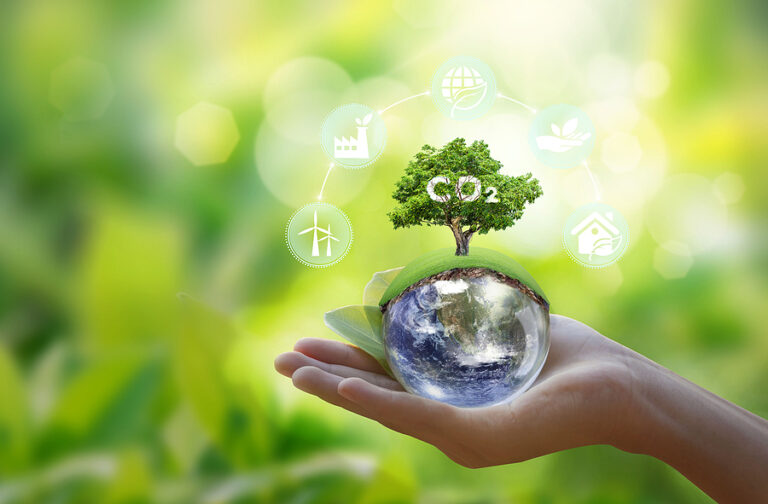 Carbon Dioxide and Trees: Why Every Homeowner Matters | Complete Tree Care